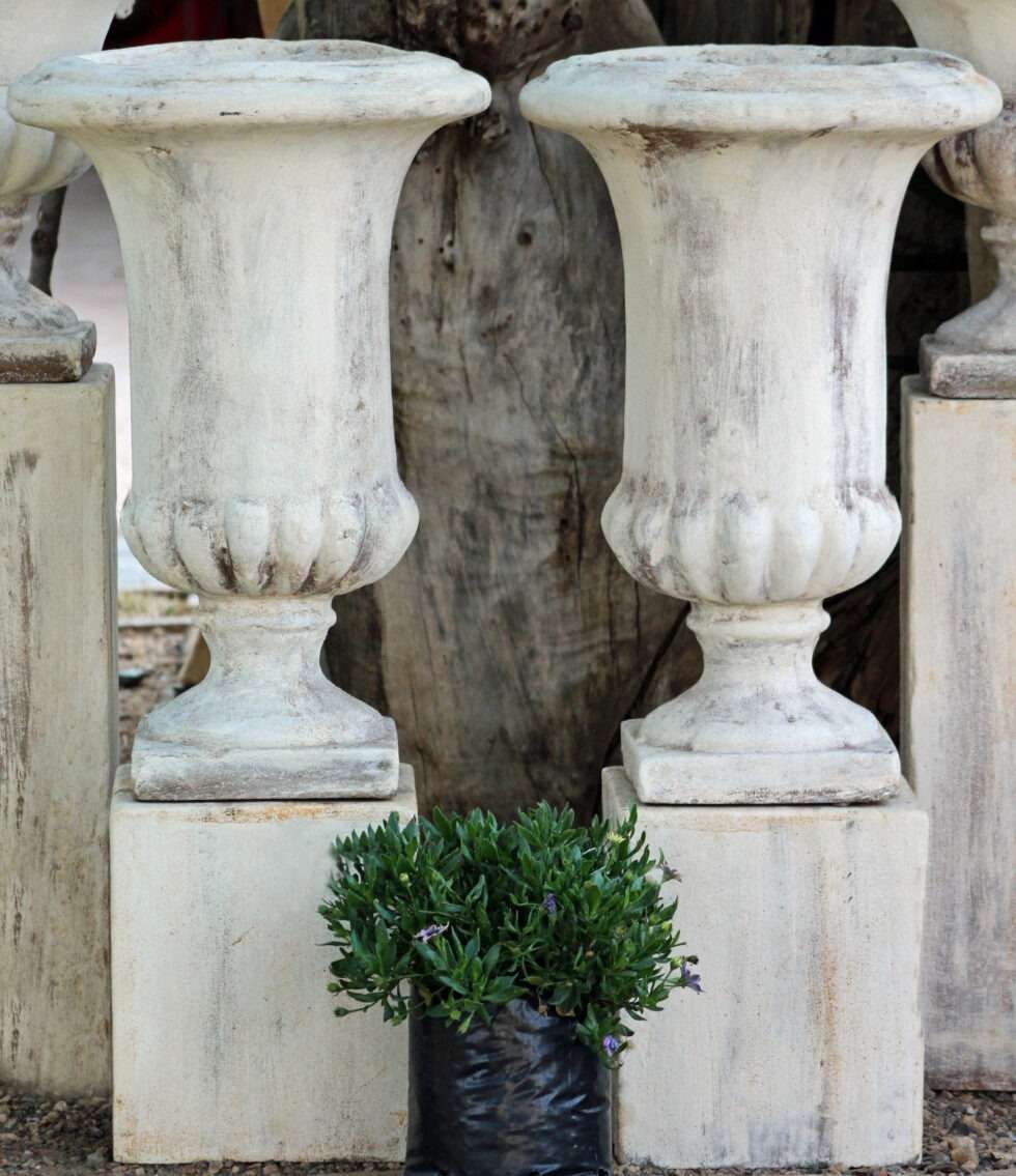 Gallery Photos - Water Plant | Turning your garden into a paradise!
